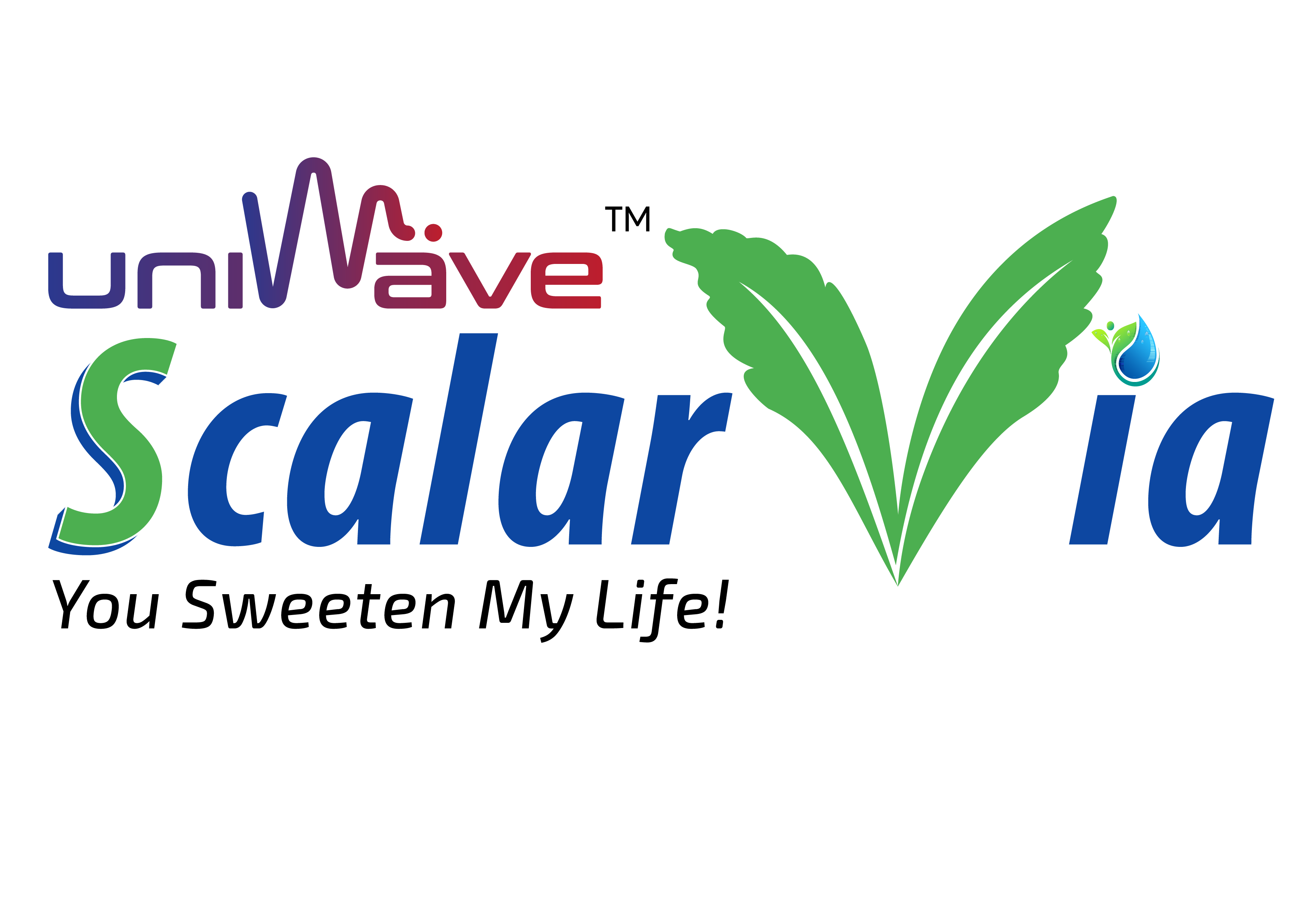 Destina1 International